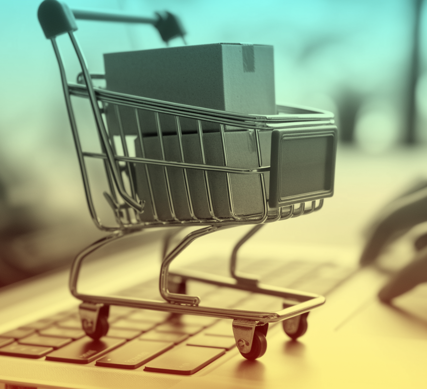 E-Commerce Services - Microvera ltd. | Official Site