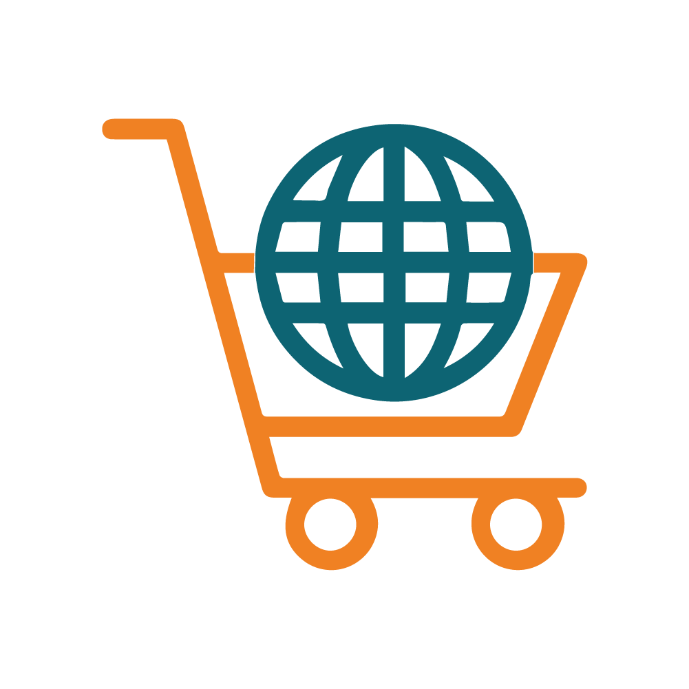 Basic - Microvera ltd. | Official Site